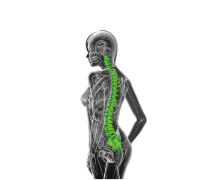 Schmerz lass nach! - CELLflow Leipzig